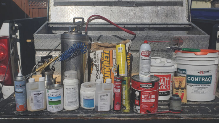 How to Know When You Have Pests and What You Should Do - Identify and ...