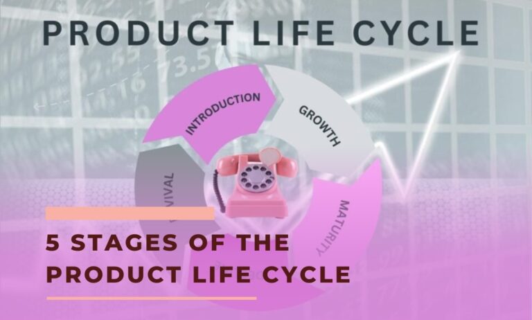 5 Stages Of The Product Life Cycle - (Definition and Examples)