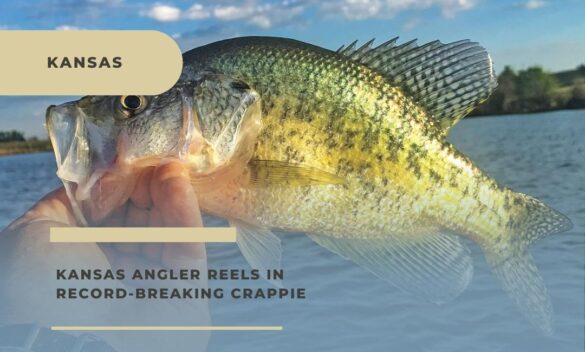Kansas Angler Reels in Record-Breaking Crappie, Shattering 59-Year-Old ...