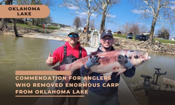 Commendation for Anglers Who Removed Enormous Carp from Oklahoma Lake ...