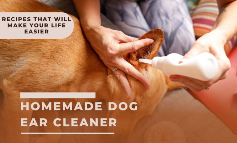 Homemade Dog Ear Cleaner: Top 6 Recipes That Will Make Your Life Easier ...