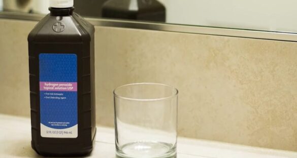 Homemade Dog Ear Cleaner: Top 6 Recipes That Will Make Your Life Easier ...