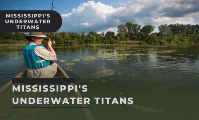 Mississippi's Underwater Titans: Discovering Largest Fish