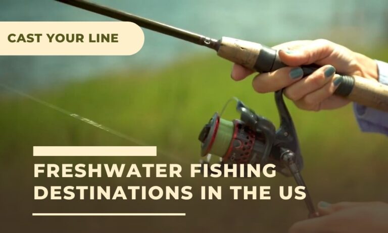 Best Freshwater Fishing Destinations in the US for 2024 - Cast Your Line