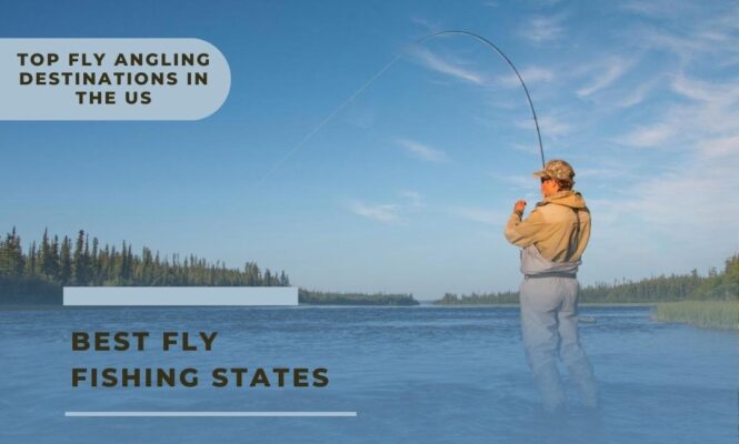 Best Fly Fishing States: A Look at the Top Fly Angling Destinations in ...