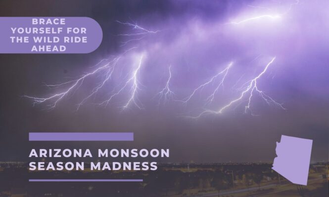 Arizona Monsoon Season Madness - Brace Yourself for the Wild Ride Ahead!