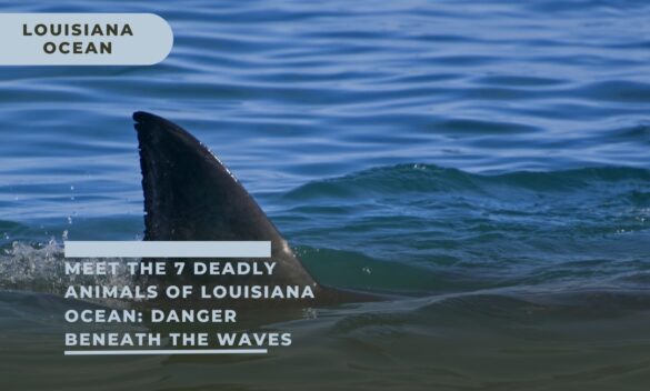 Meet the 7 Deadly Animals of Louisiana Ocean: Danger Beneath the Waves