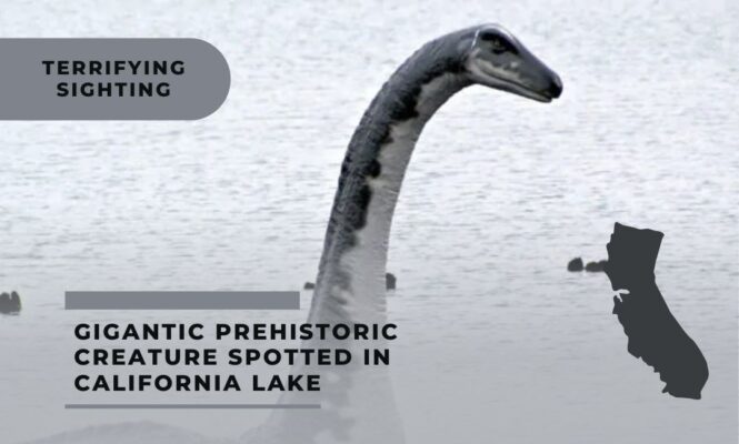 Gigantic Prehistoric Creature Spotted in California Lake: Terrifying ...