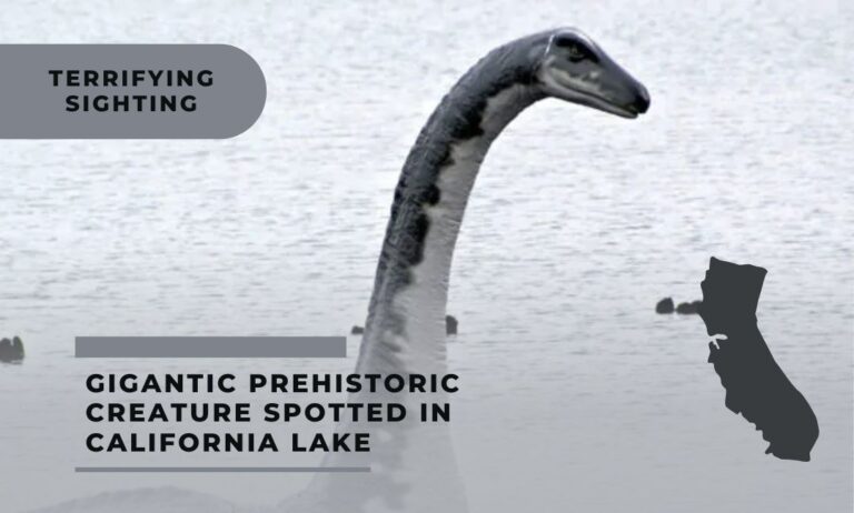 Gigantic Prehistoric Creature Spotted in California Lake: Terrifying ...