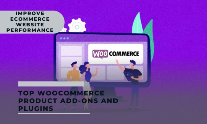 Top 25 WooCommerce Product Add-Ons and Plugins to Improve eCommerce Website Performance in 2024 ...