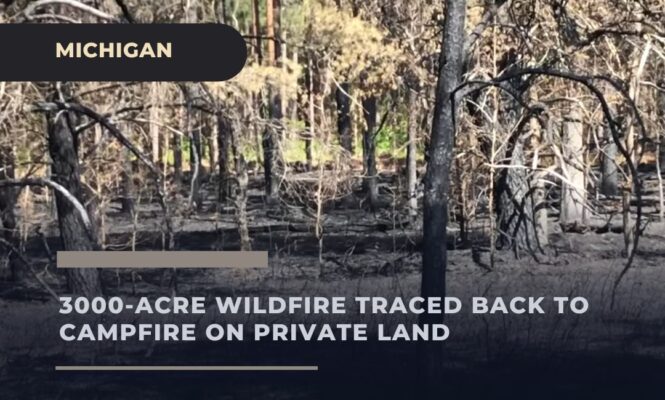Devastating Michigan Wildfire Traced Back to Campfire on Private Land
