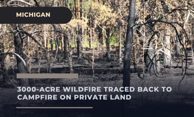 Devastating Michigan Wildfire Traced Back to Campfire on Private Land