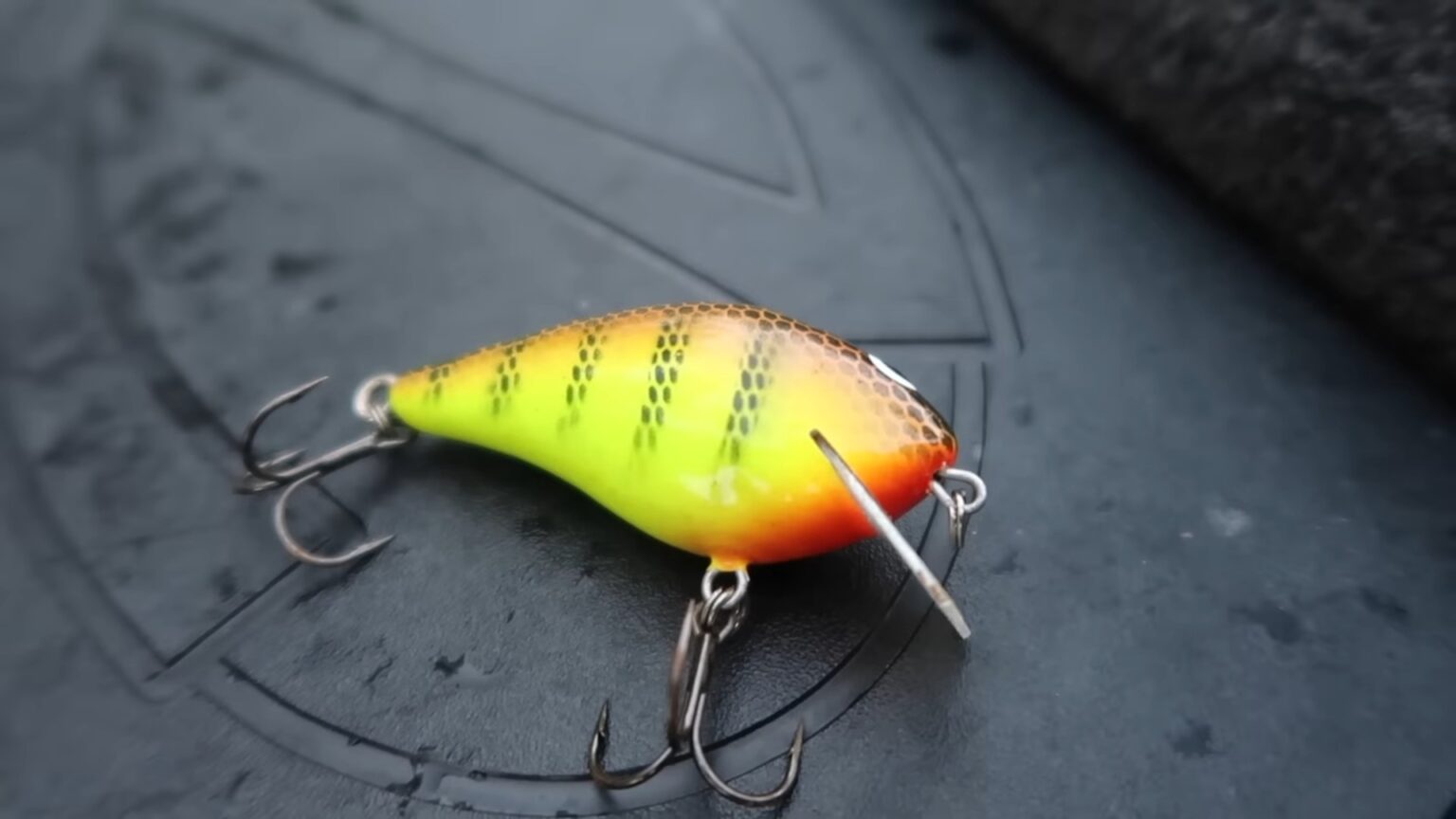 Arizona Angler Lands Record-Breaking Fish: A Story of Persistence