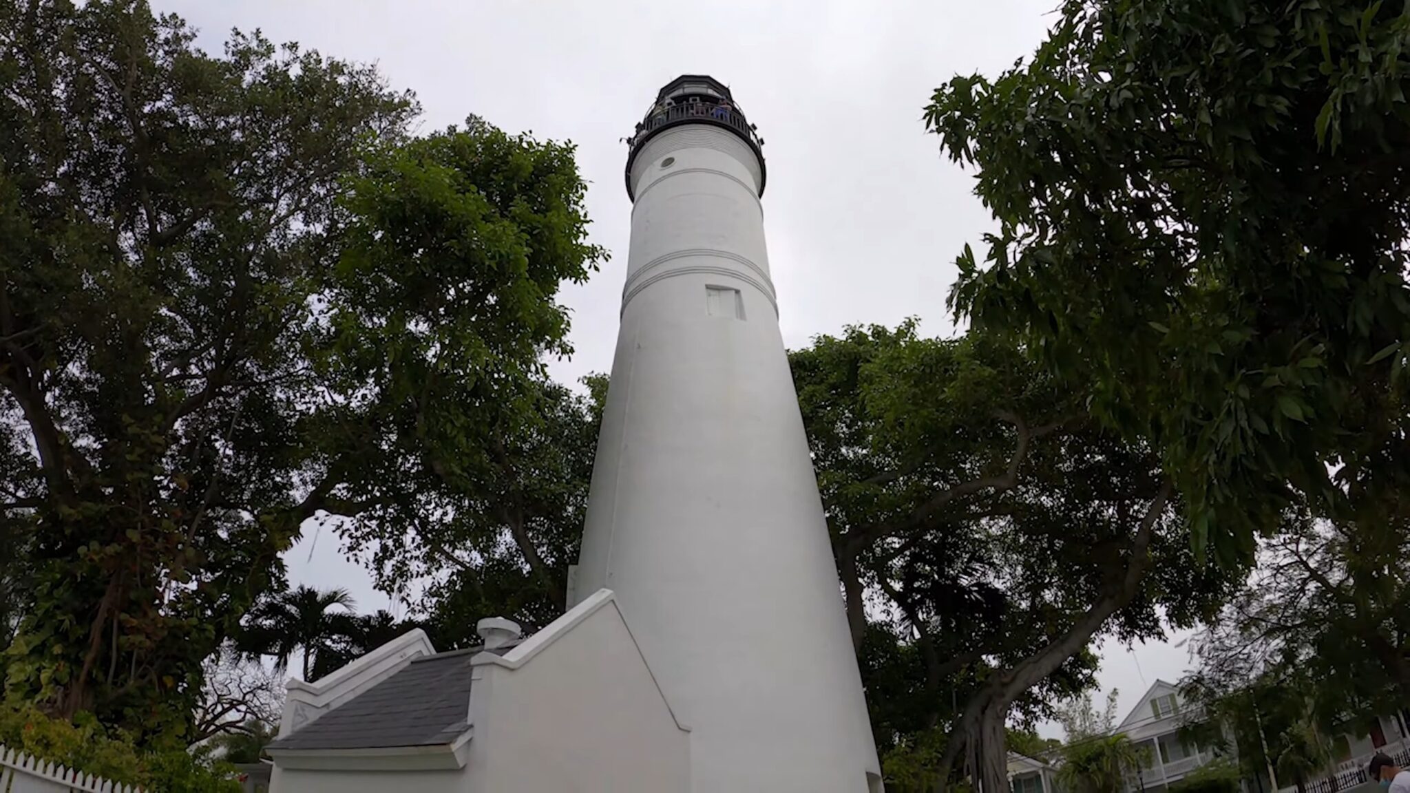Top 25 Things to Do in Florida Keys 2024 from Wildlife to Museums ...