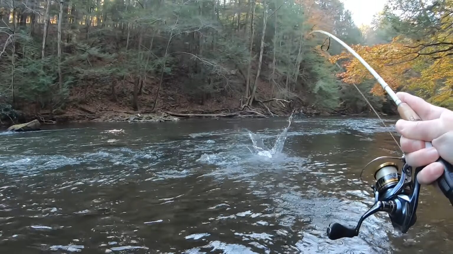 A New Wyoming Record: Biggest Tiger Trout Caught by Cheyenne Angler ...