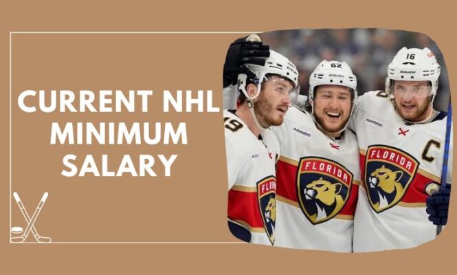 What is the NHL's Minimum Salary in 2024 - What Every Hockey Fan Should ...