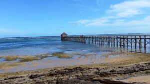 25 Countries With Highest Rates of Obesity in 2024: The Global Epidemic