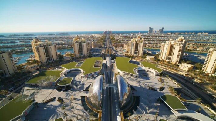 25 Countries With Highest Rates of Obesity in 2024: The Global Epidemic