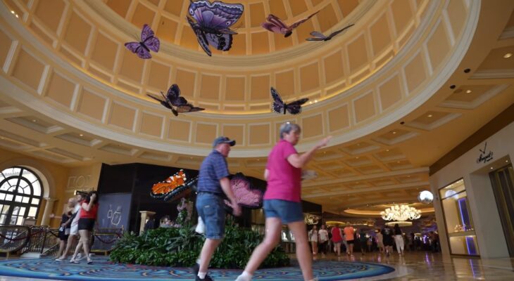 The Science Behind the Thrill: How Casinos Create an Emotionally ...