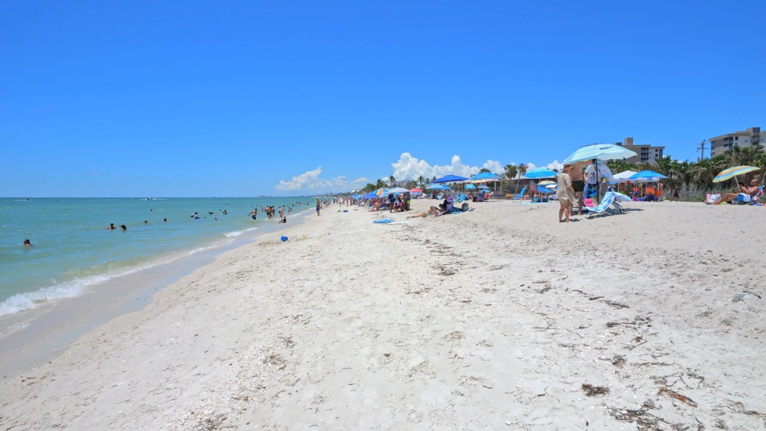 10 Best Beaches Near Naples, FL 2024: Beyond the Waves