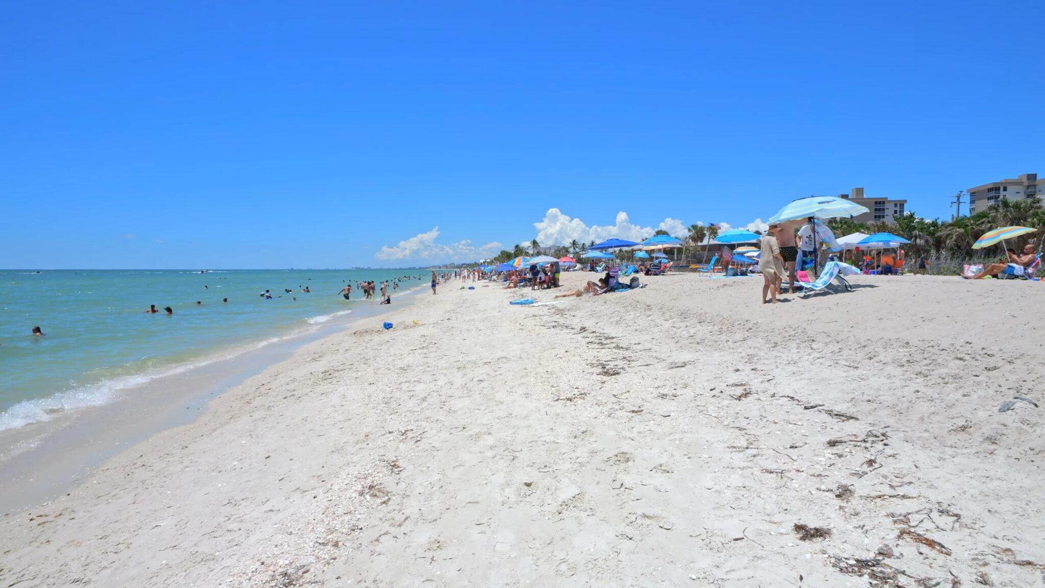 10 Best Beaches Near Naples, FL 2024: Beyond the Waves