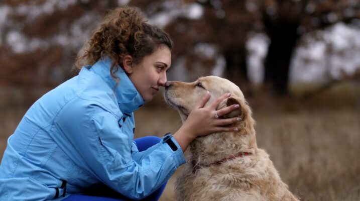 20 Most Dangerous Animals in the World 2024 - Nature's Nightmares