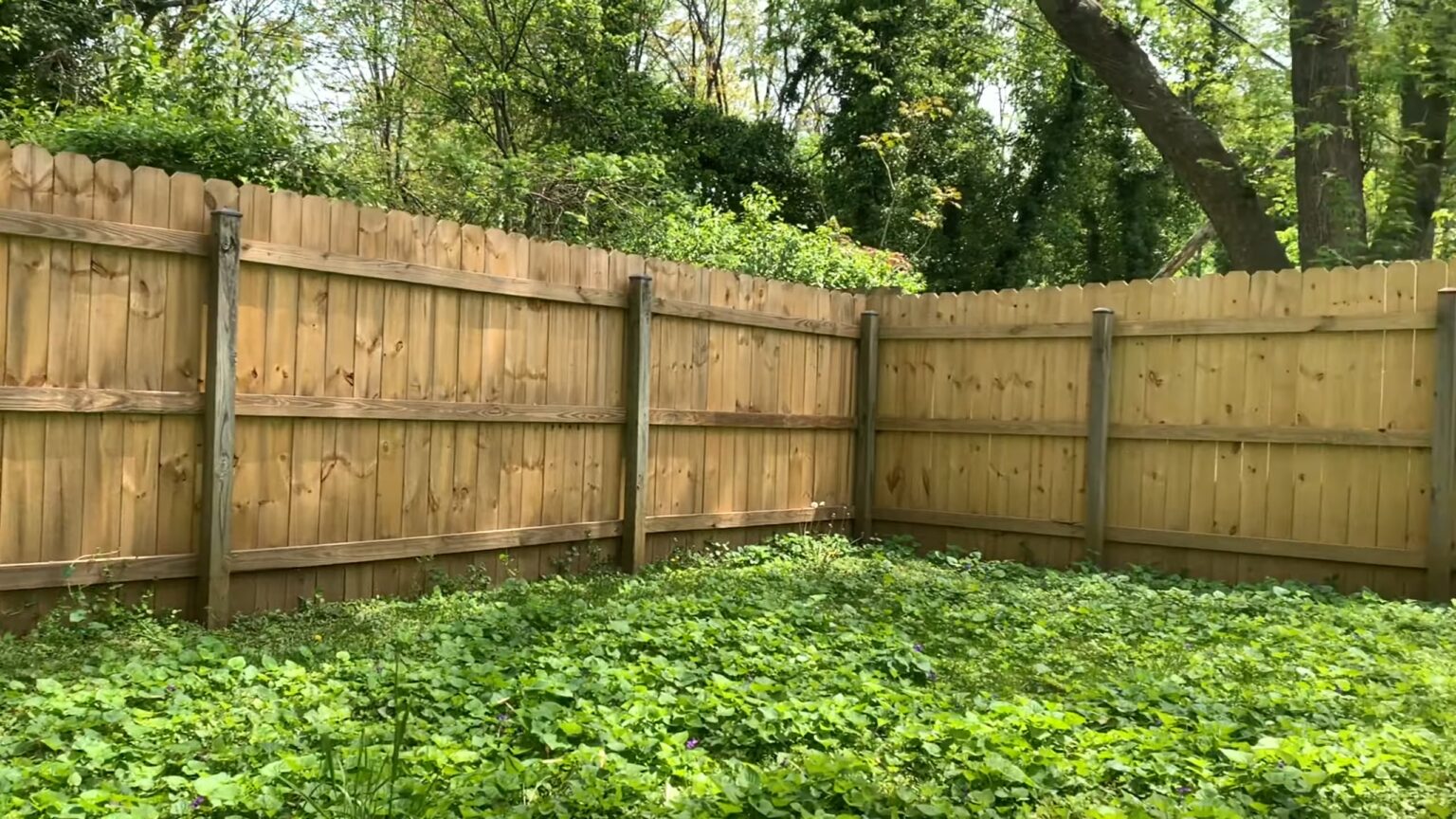 Fencing And Your Property Line 2024: A Neighbor's Guide