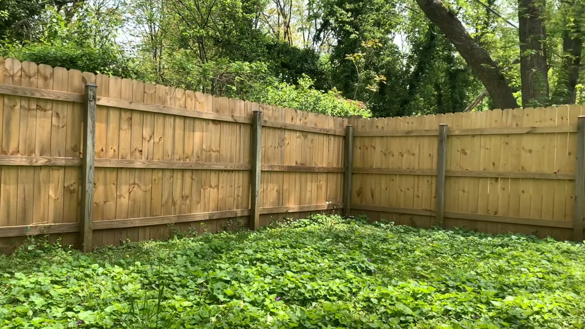Fencing And Your Property Line 2024: A Neighbor's Guide