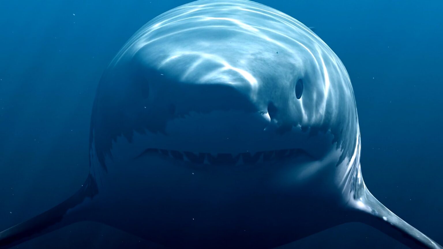 20 Most Dangerous Animals in the World 2024 - Nature's Nightmares