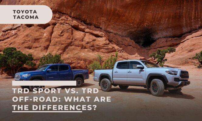 Toyota Tacoma TRD Sport vs. TRD Off-Road: What Are the Differences?