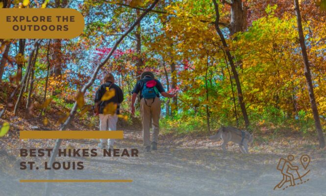 10 Best Hikes Near St. Louis 2024: Explore the Outdoors