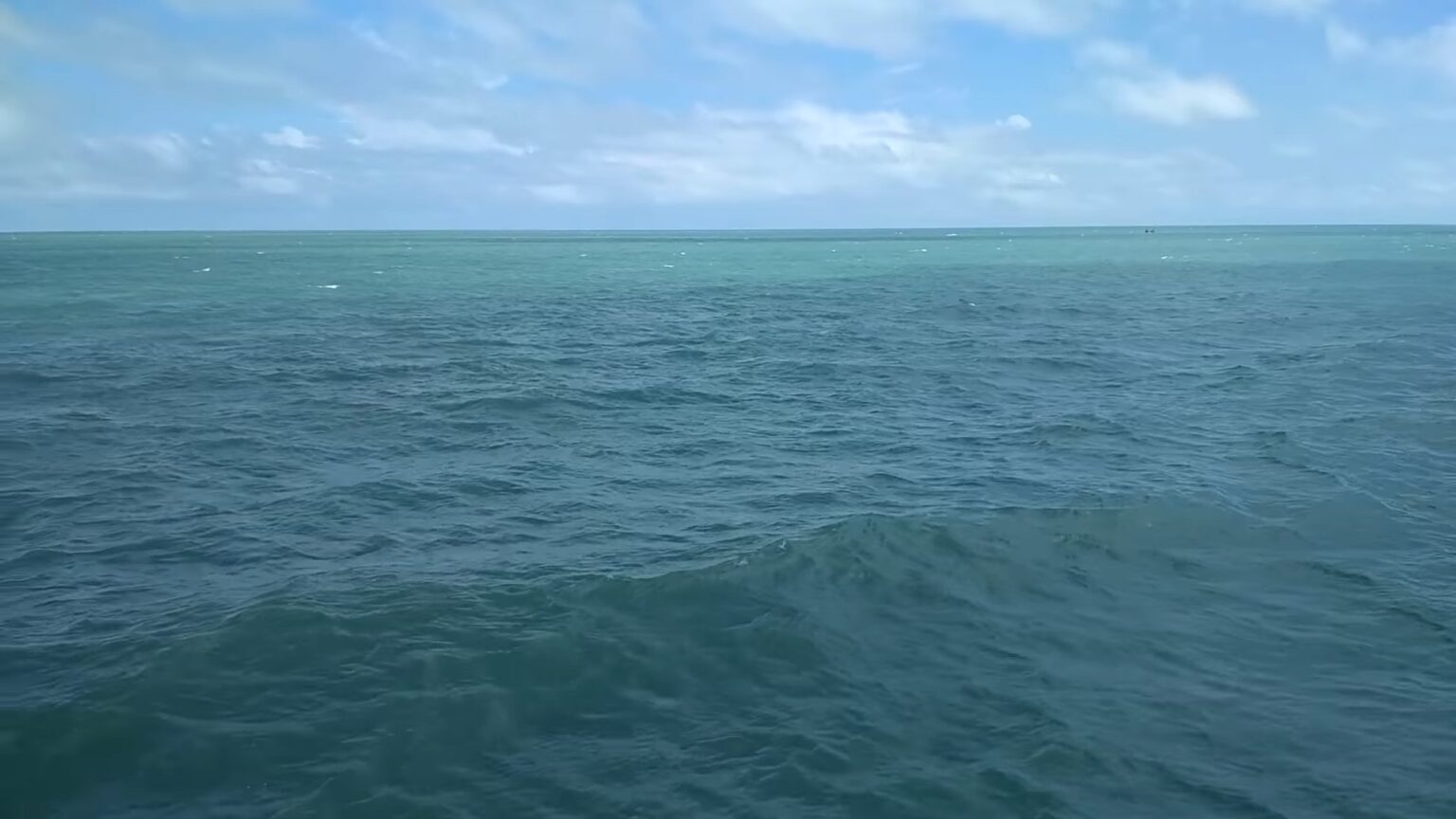 Top 16 Largest Oceans and Seas: A Comprehensive Dive