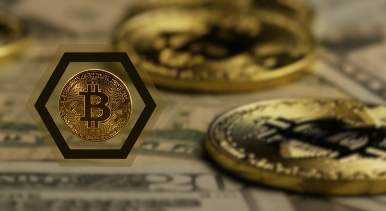 From Dorm Rooms to Mansions: The Remarkable Journeys of Young Bitcoin ...