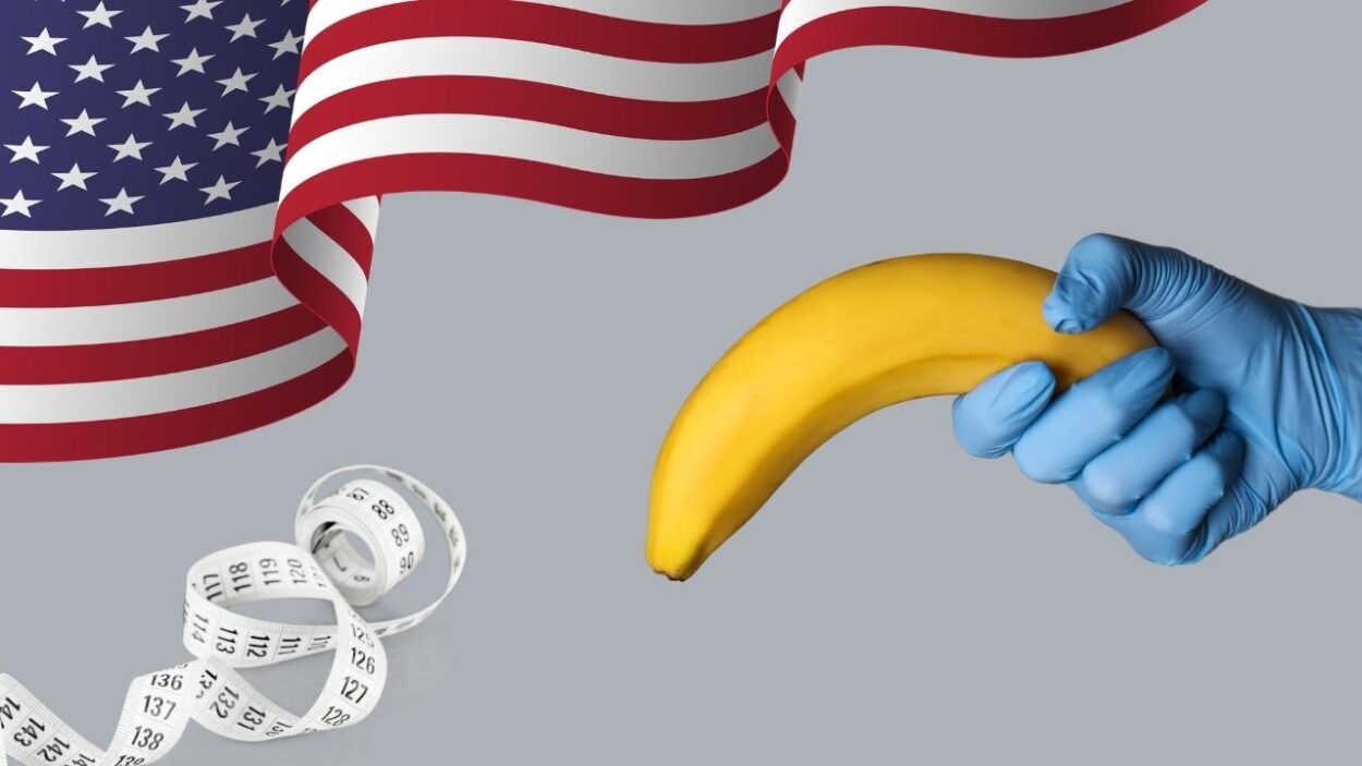 Surprising Reveals: 2024's State-by-State Average Penis Sizes in the US ...