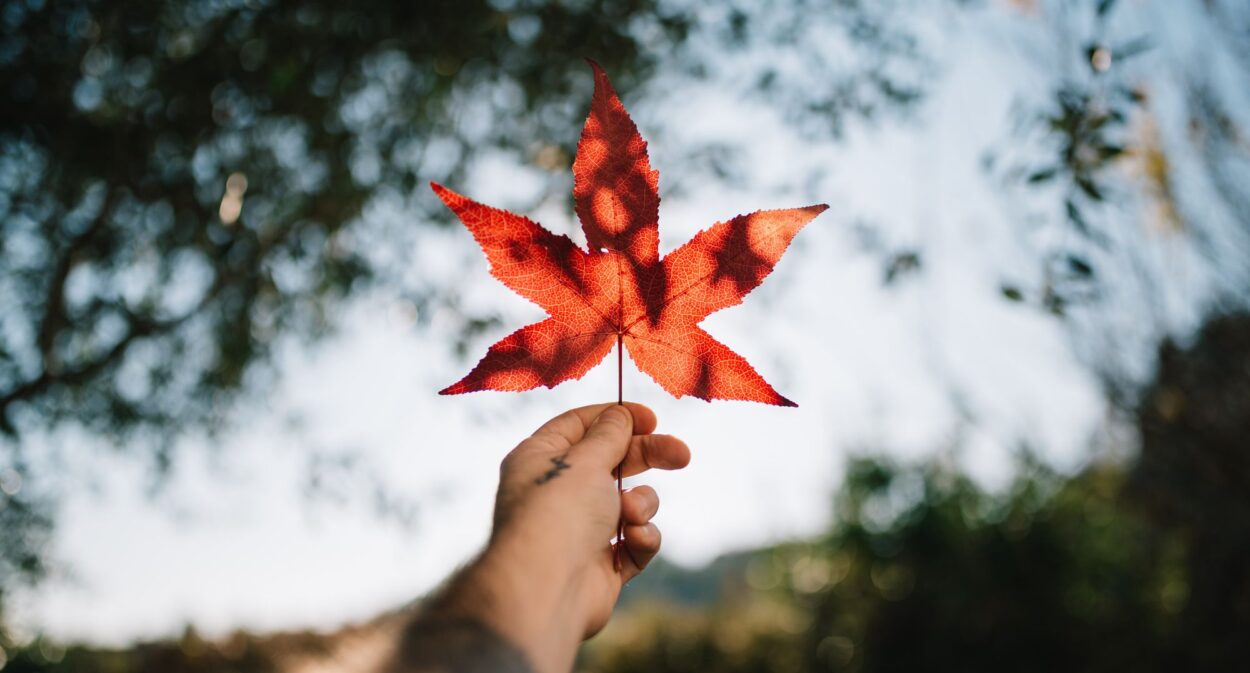 17 Warmest And Cheapest Places To Live In Canada 2024 Hidden Gems 17-warmest-and-cheapest-places-to-live-in-canada-2024-hidden-gems