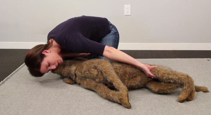 How to Give Dog CPR: A Step-by-Step Guide to Saving Lives - Southwest ...