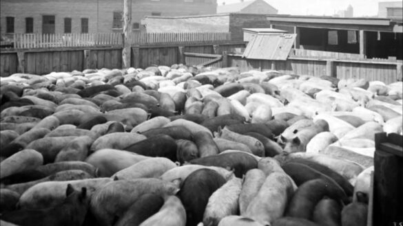 8 Best Toronto Nicknames Exploring: City of Many Faces and Even More ...