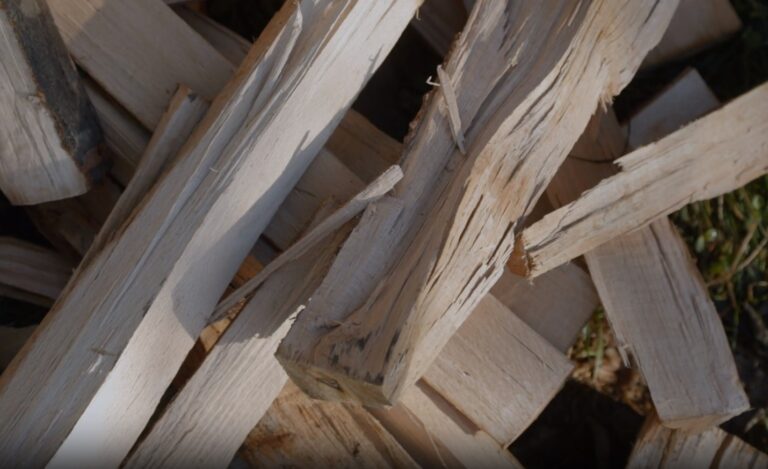 How Hot Can A Wood Fire Get? (It’s Not What You Think) - Southwest Journal