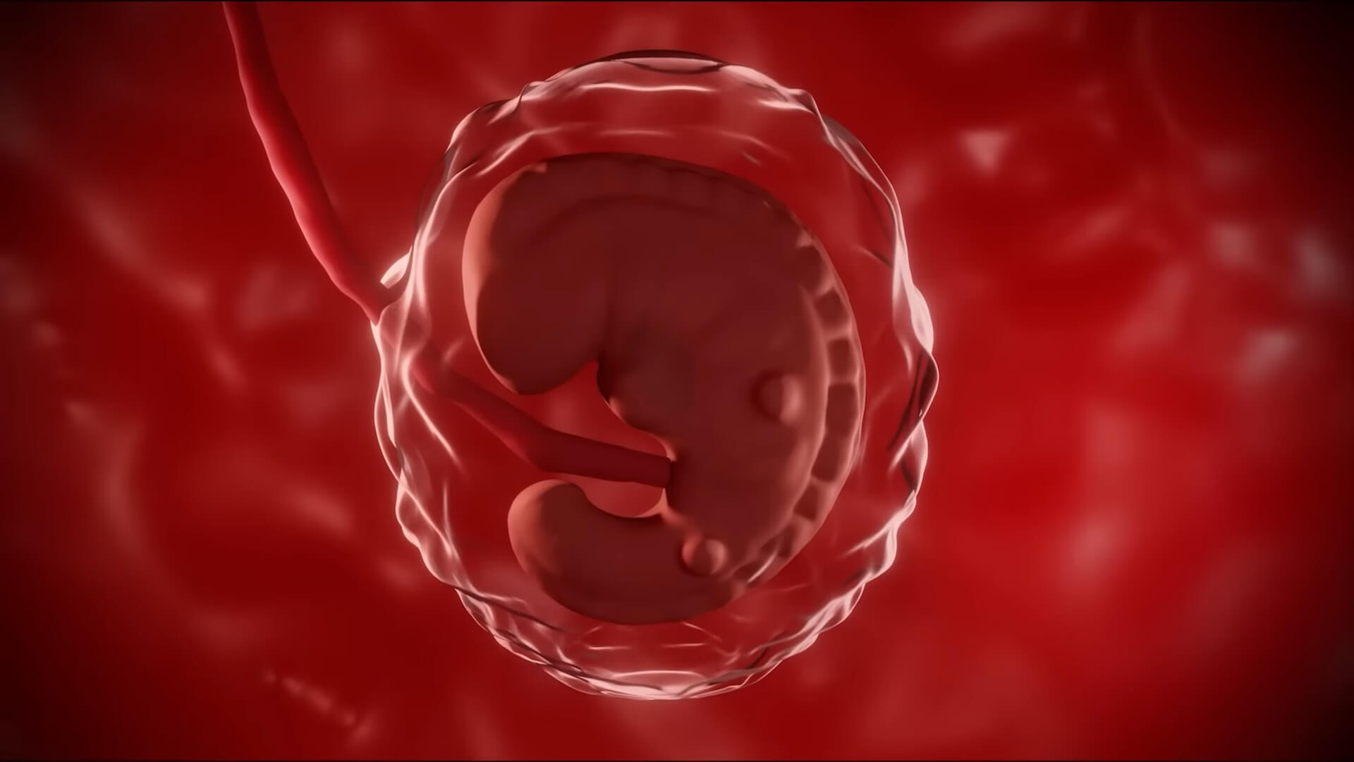 Pregnancy Weeks to Months: Converting and Understanding the Timeline