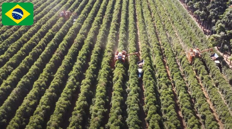 Shocking Discovery: These 14 Countries Have Cheapest Land in The World ...