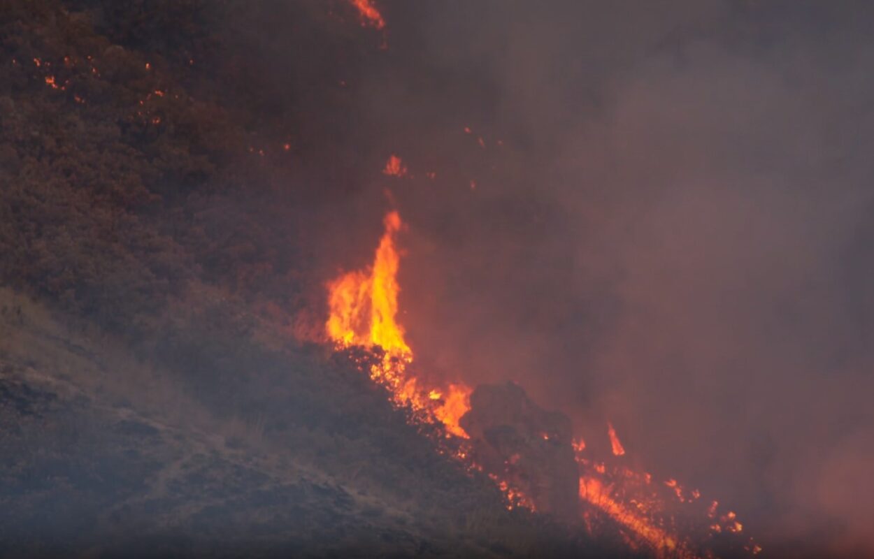 How Hot Can A Wood Fire Get? (It’s Not What You Think) - Southwest Journal