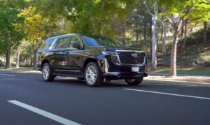 12 Pieces of Donald Trump Car Collection: Former President's 2m$ Luxury ...
