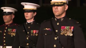 How Many Generals Are There in the US Military 2024: The Backbone of Army