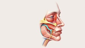 Causes of Cheek Twitching and Facial Muscle Spasms